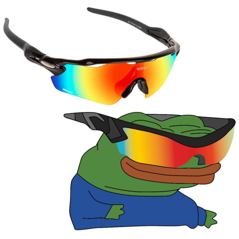 WICKED Sunglasses - PeepoParadise